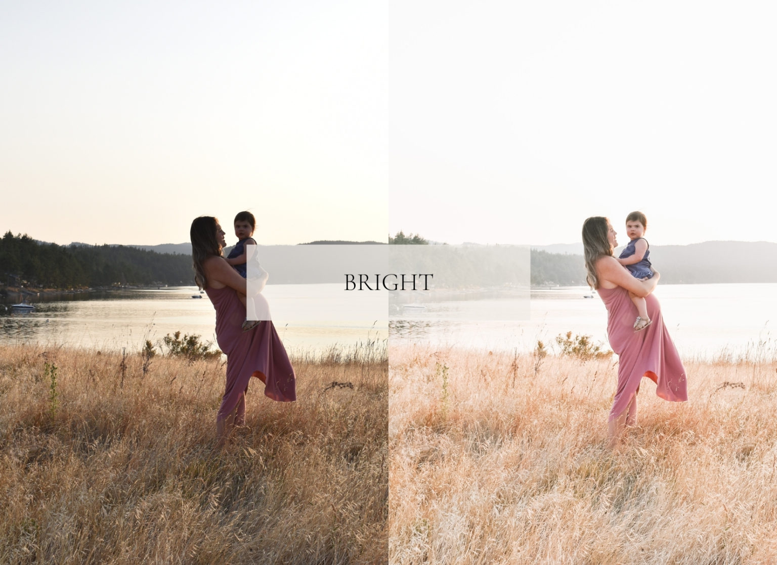 G+A SIGNATURE COLLECTION PRESETS - Grey & Avery